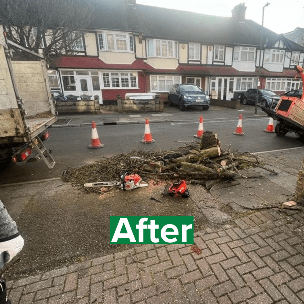 Storm Henk: Clearing fallen and damaged trees for public safety ...